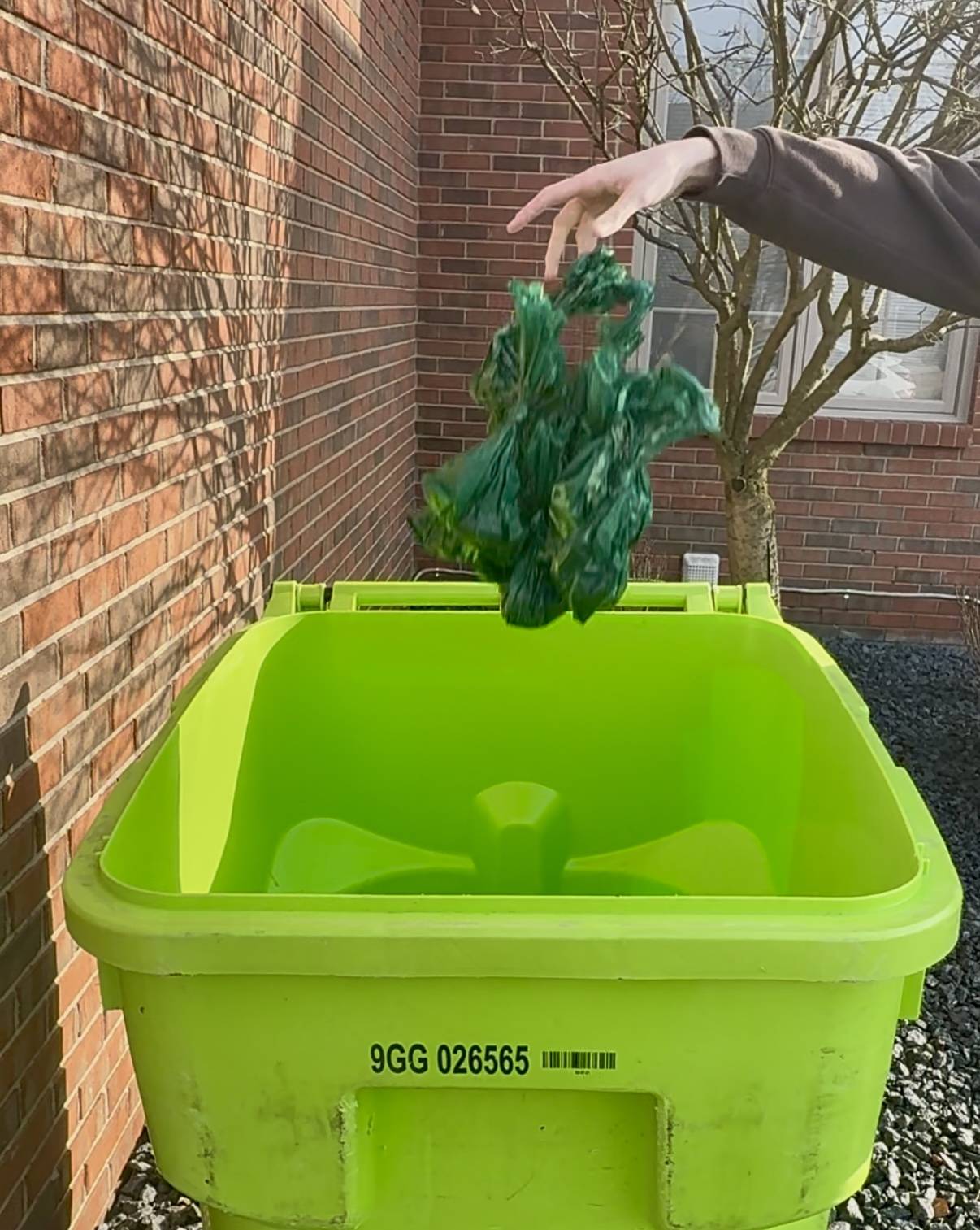 Experience a Life-Changing Garbage Bin Cleaning Service in Macomb County